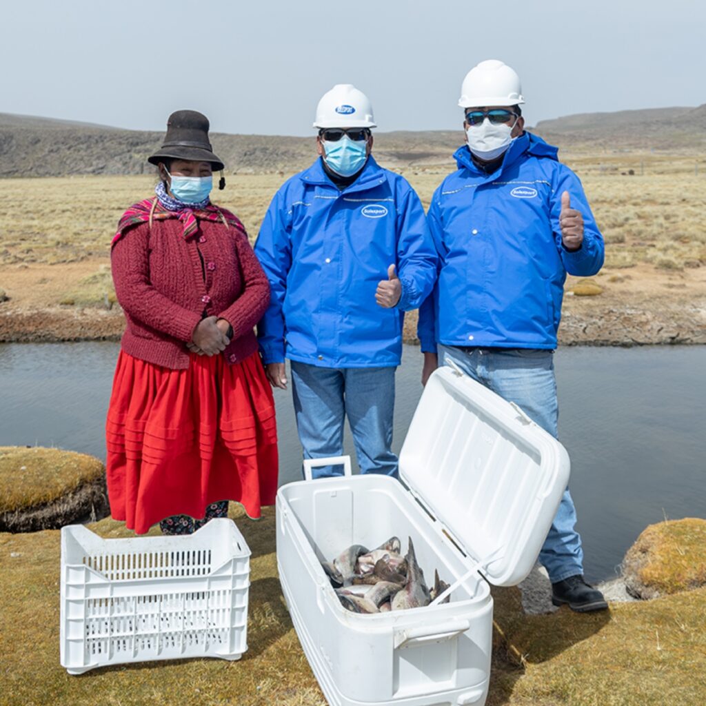 NOSOTROS - SolexPort